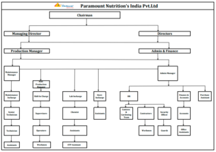 Organisation Chart – Paramount Nutritions Pvt. Ltd.
