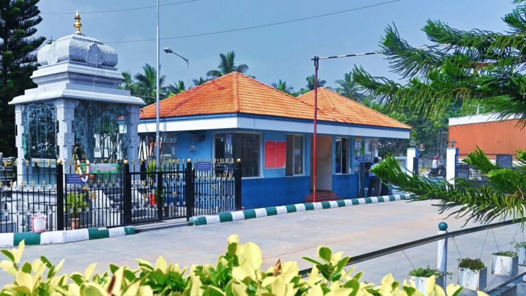 Organisation Chart – Paramount Nutritions Pvt. Ltd.